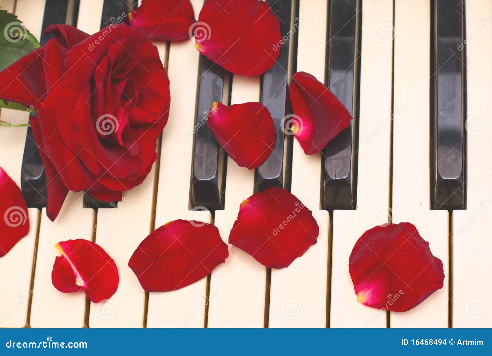 Piano With Rose Petals