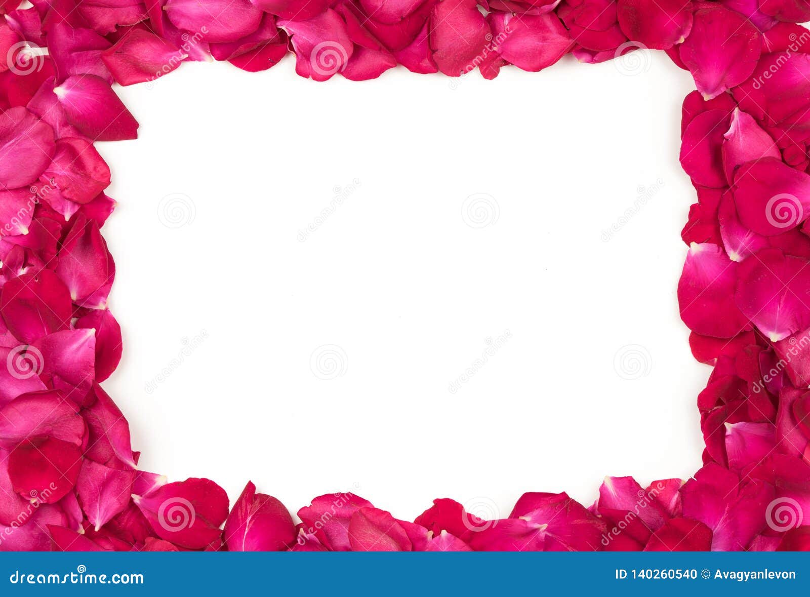 Red Rose Petals Border stock photo. Image of romantic - 140260540