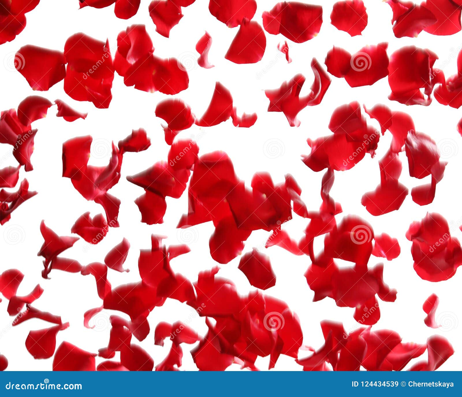 Red rose petals falling stock image. Image of beautiful - 124434539