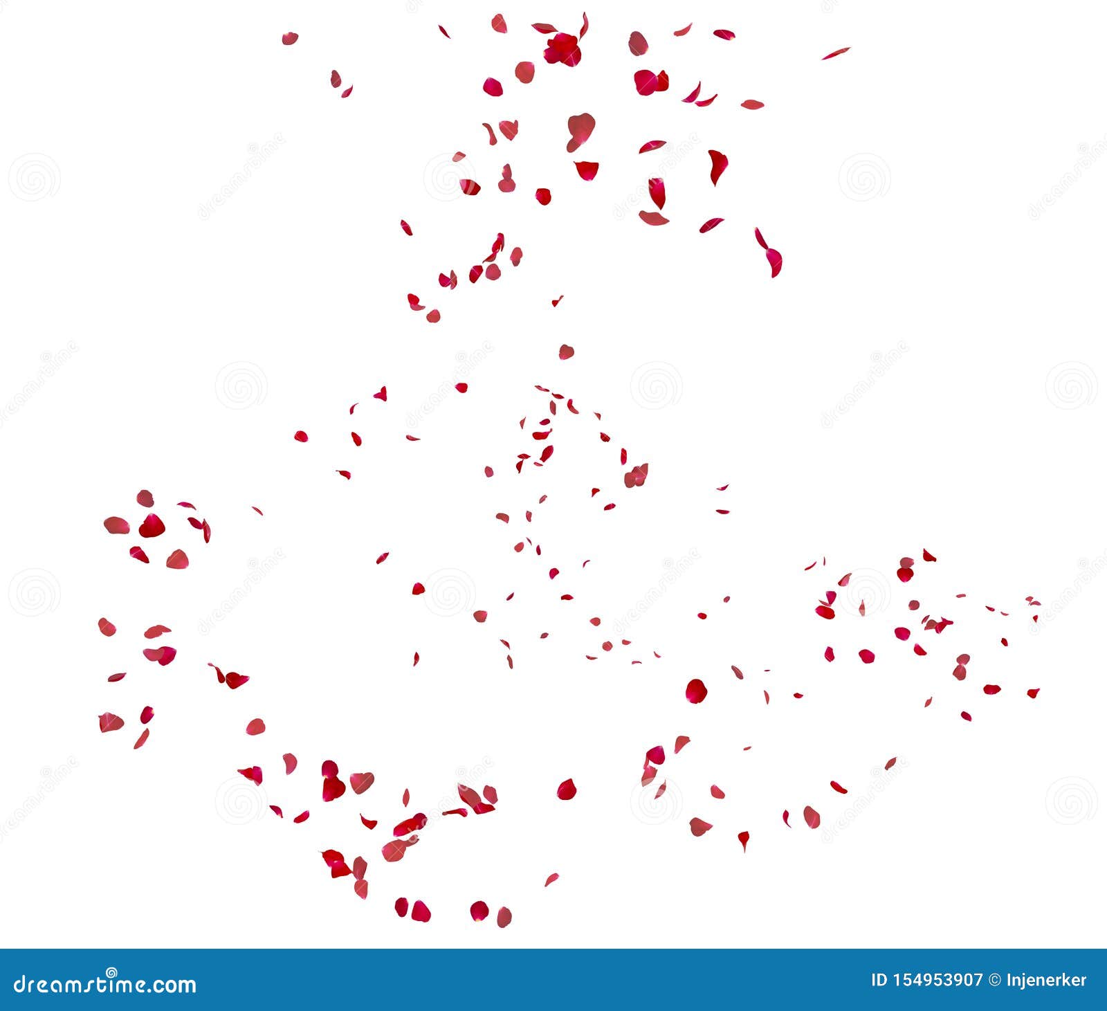 Red Rose Petals Fly in the Air Stock Illustration - Illustration of ...