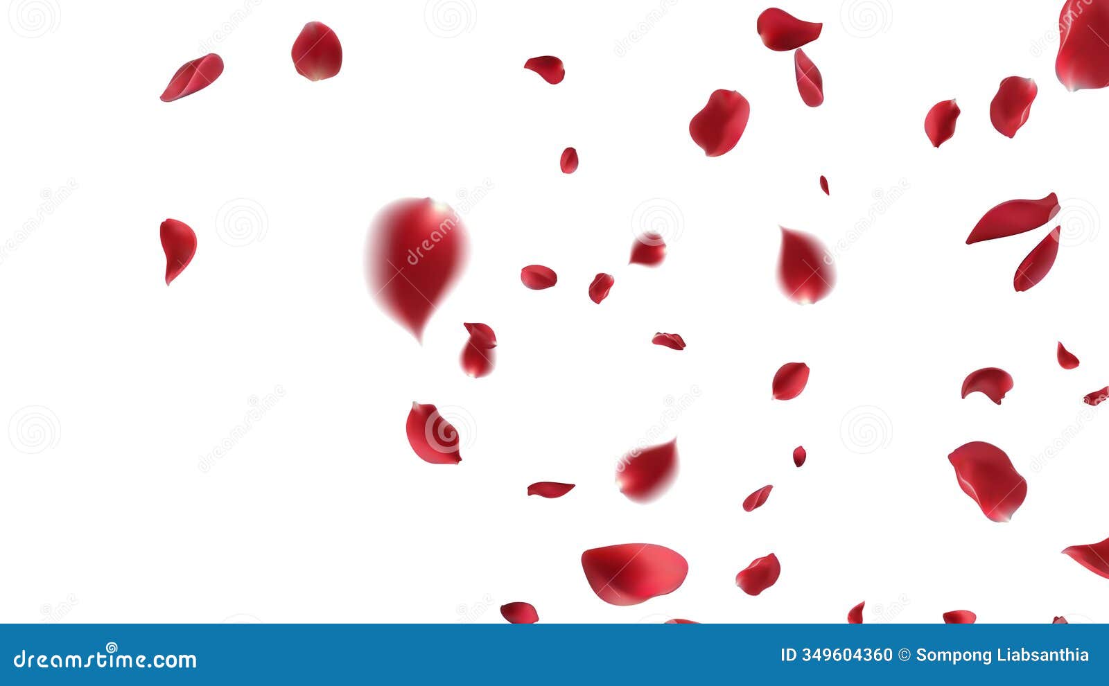 Red Rose Petals Fly in the Air on a White Background Stock Vector ...