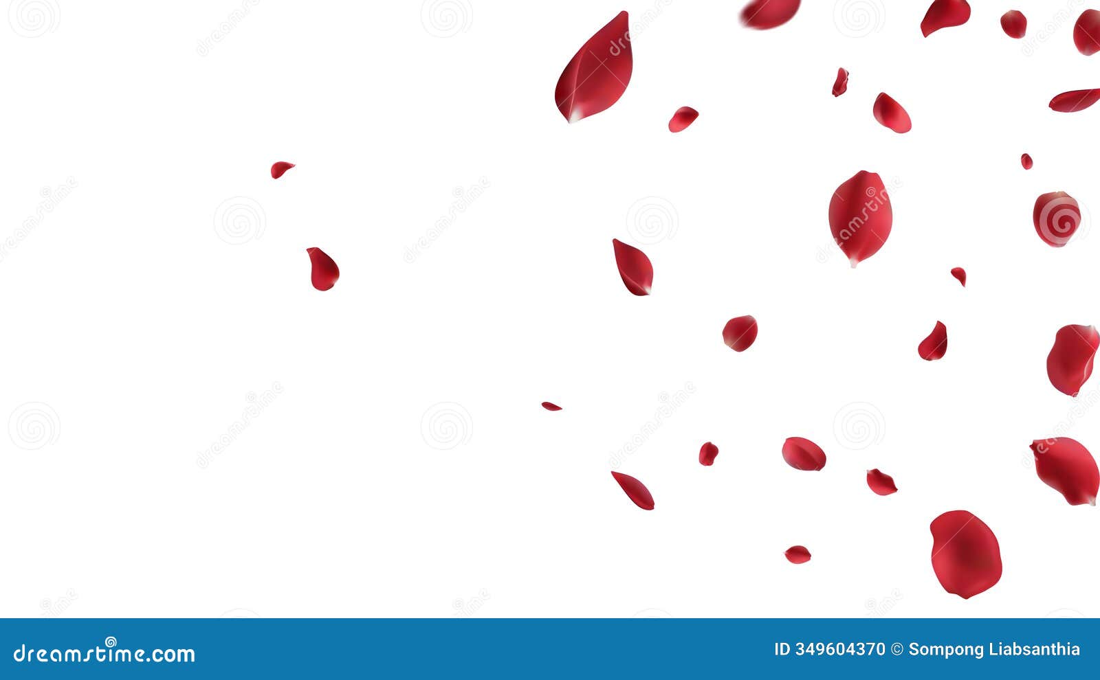Red Rose Petals Fly in the Air on a White Background Stock Vector ...