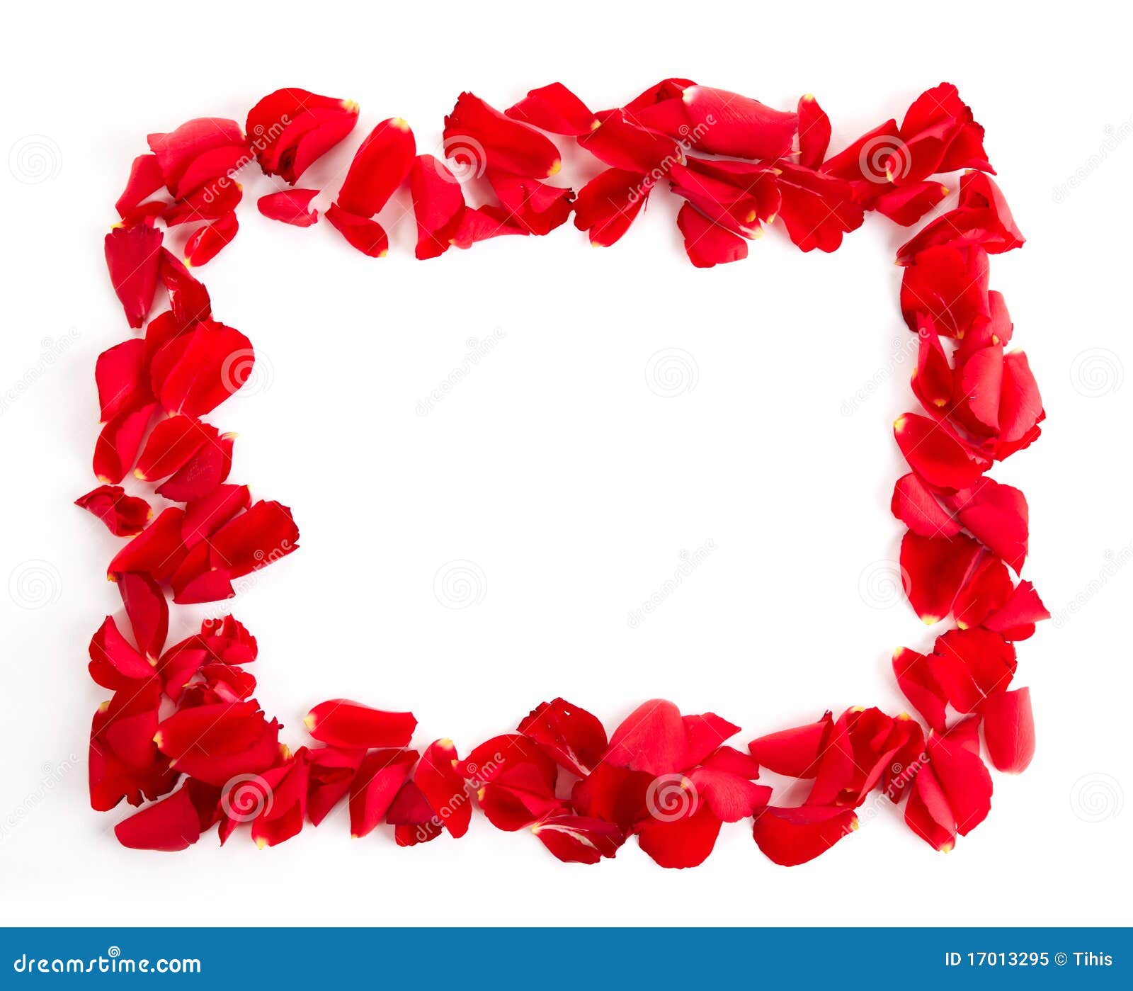 Red rose petals frame stock image. Image of love, giving - 17013295