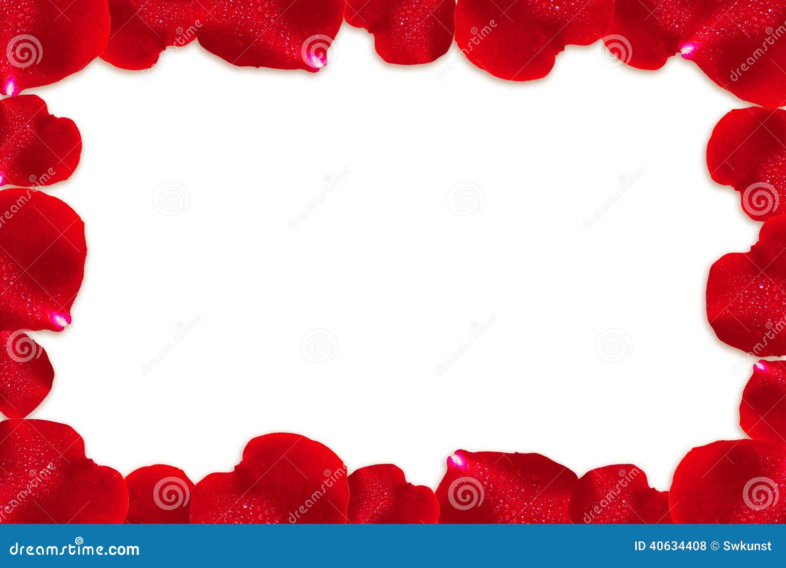 Red rose petals frame. stock photo. Image of love, isolated - 40634408