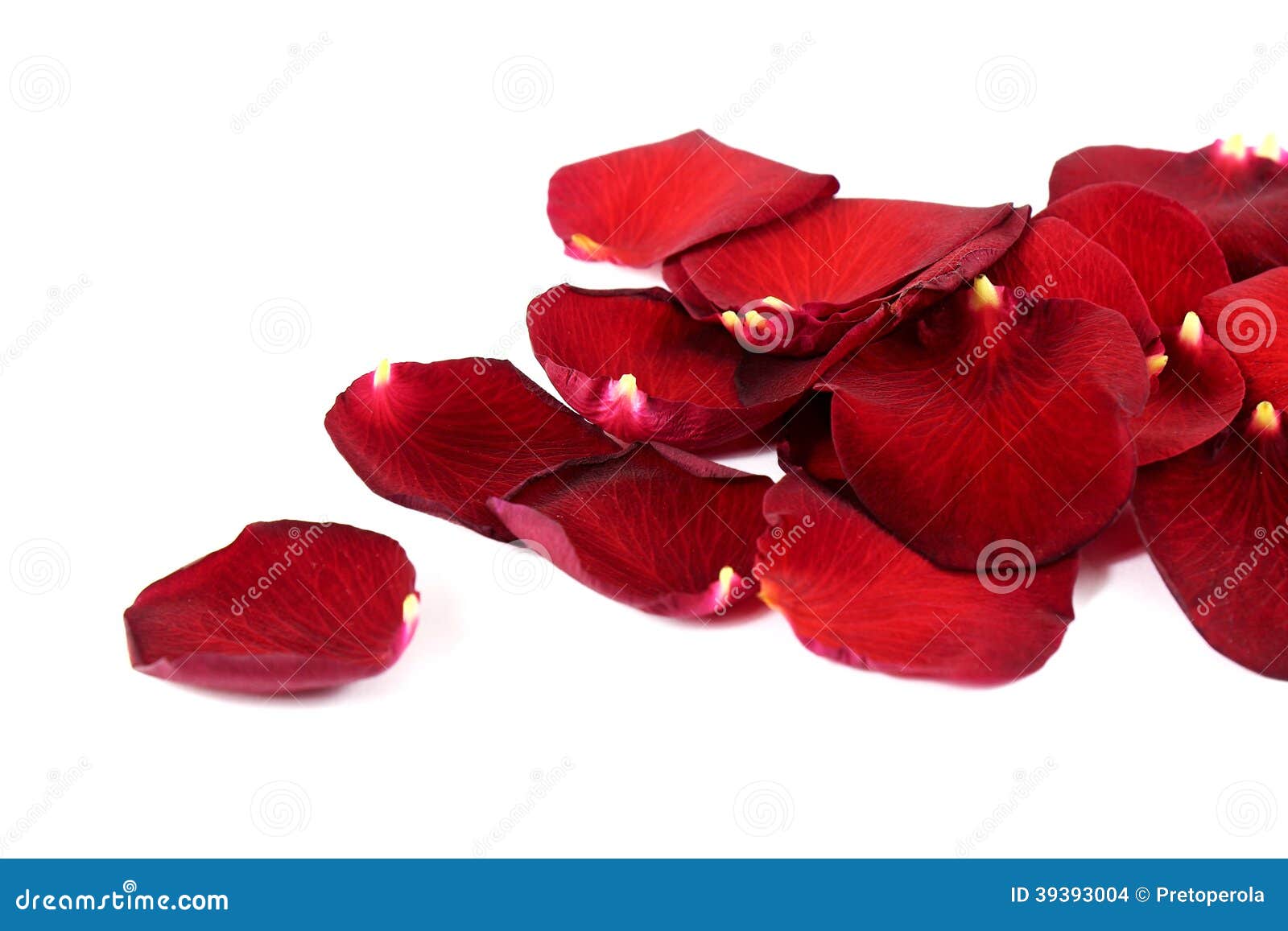 Red rose petals stock photo. Image of leaf, anniversary - 39393004