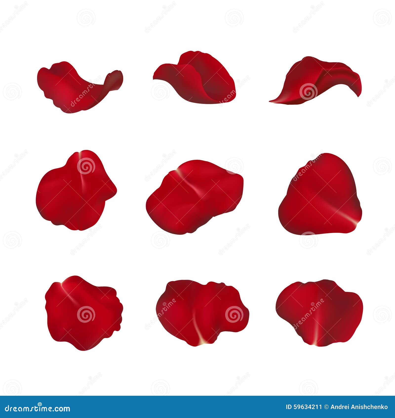 Red rose petals on white stock vector. Illustration of design - 59634211