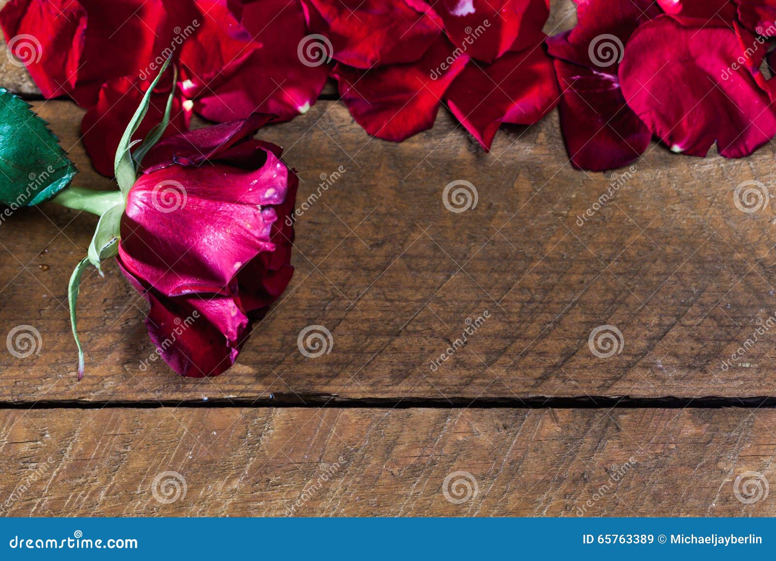 Red Rose with Petals, on Wood Board Stock Image - Image of table, rose ...
