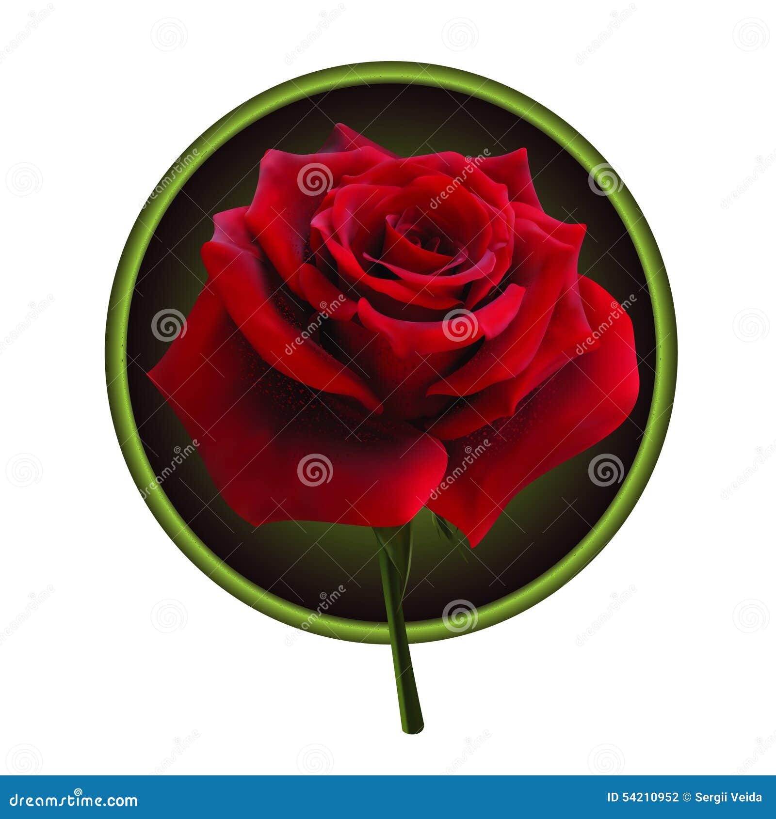 Red rose stock vector. Illustration of fresh, celebration - 54210952