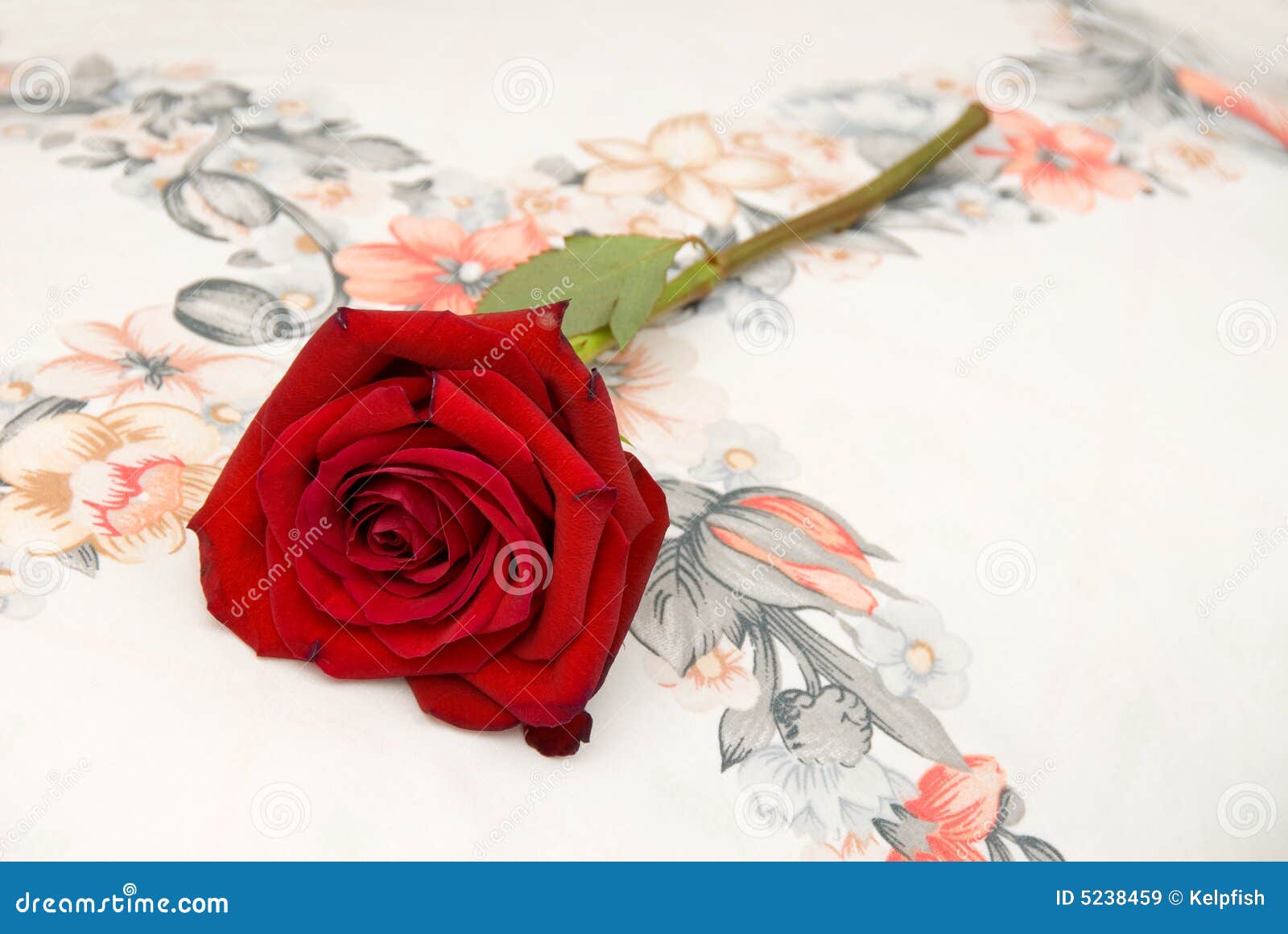 Red rose on pillow stock image. Image of hotel, rose, concept - 5238459