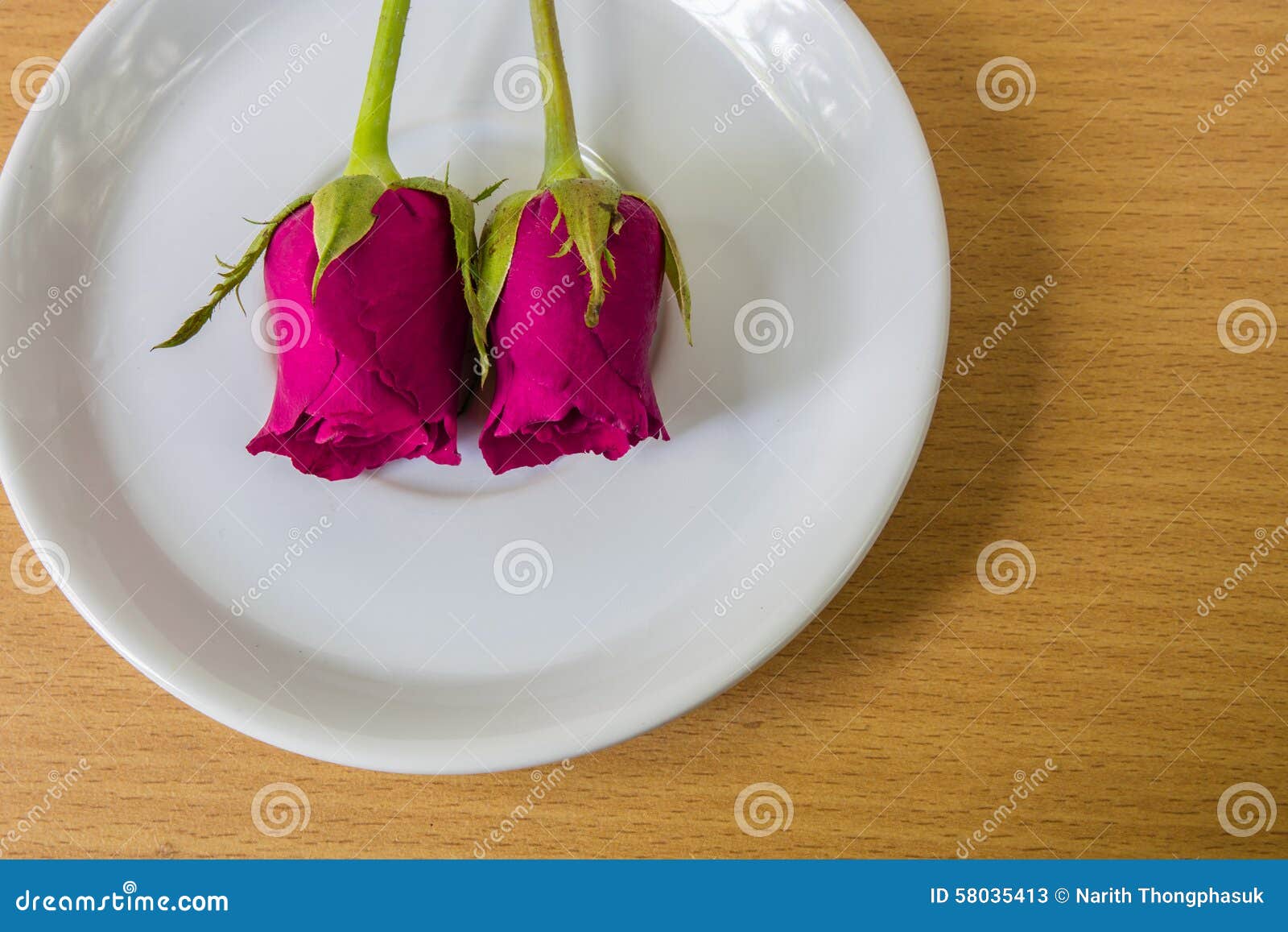 Red rose on plate stock image. Image of entertaining - 58035413