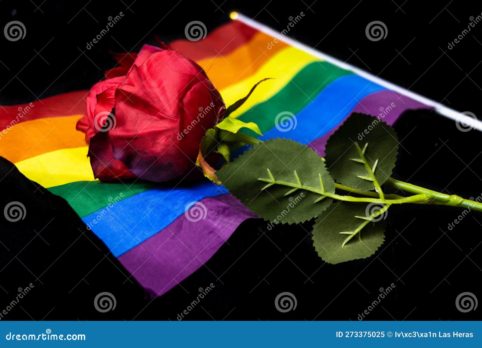 Red Rose on a Rainbow Flag, Symbolizing Love and Acceptance Stock Image ...