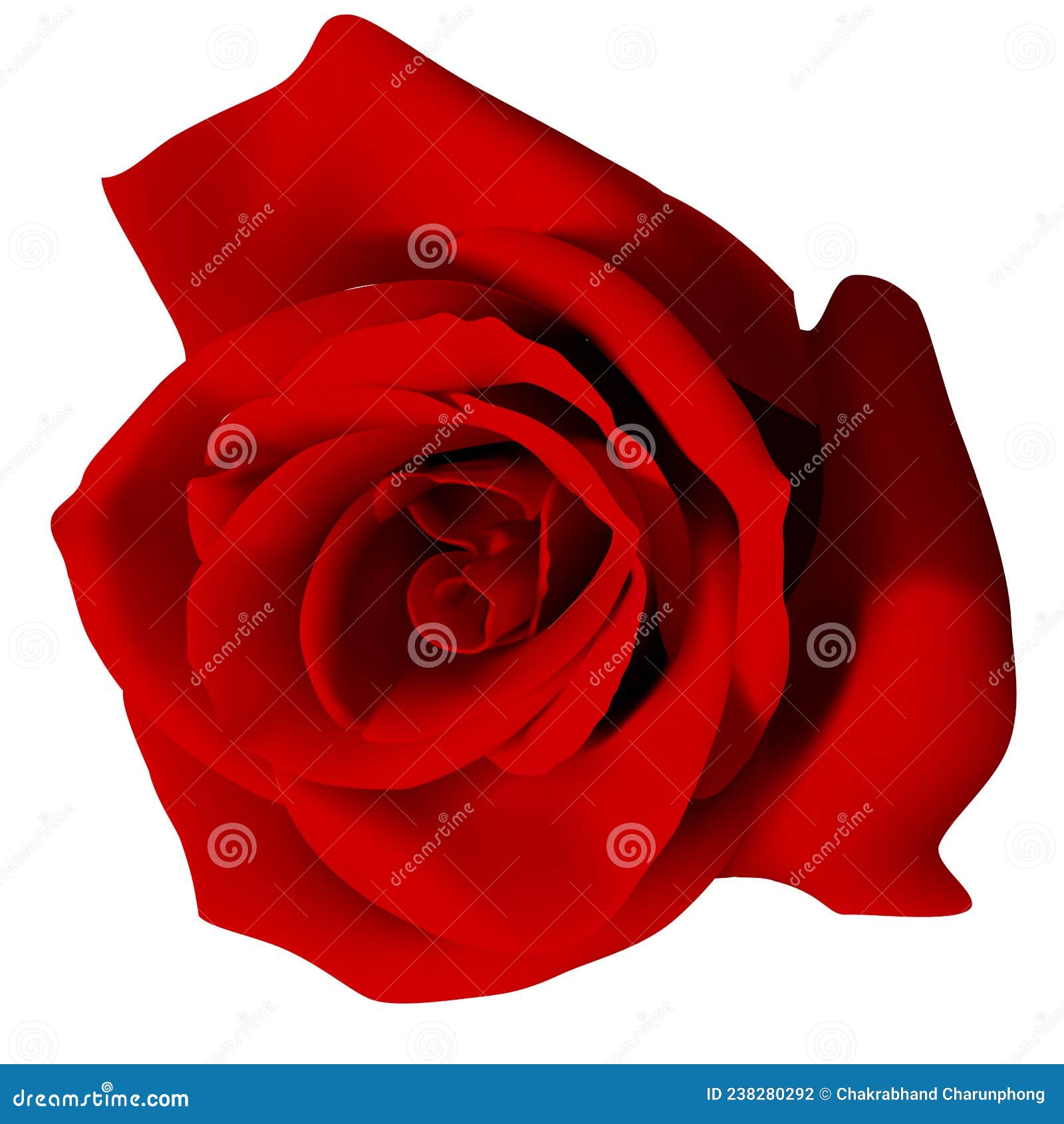 Red Rose . Realistic Vector Illustration Stock Vector - Illustration of ...