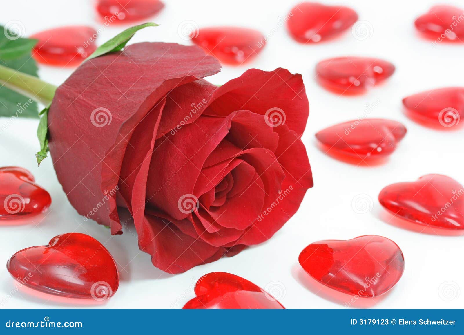 Red rose with red hearts stock image. Image of background - 3179123