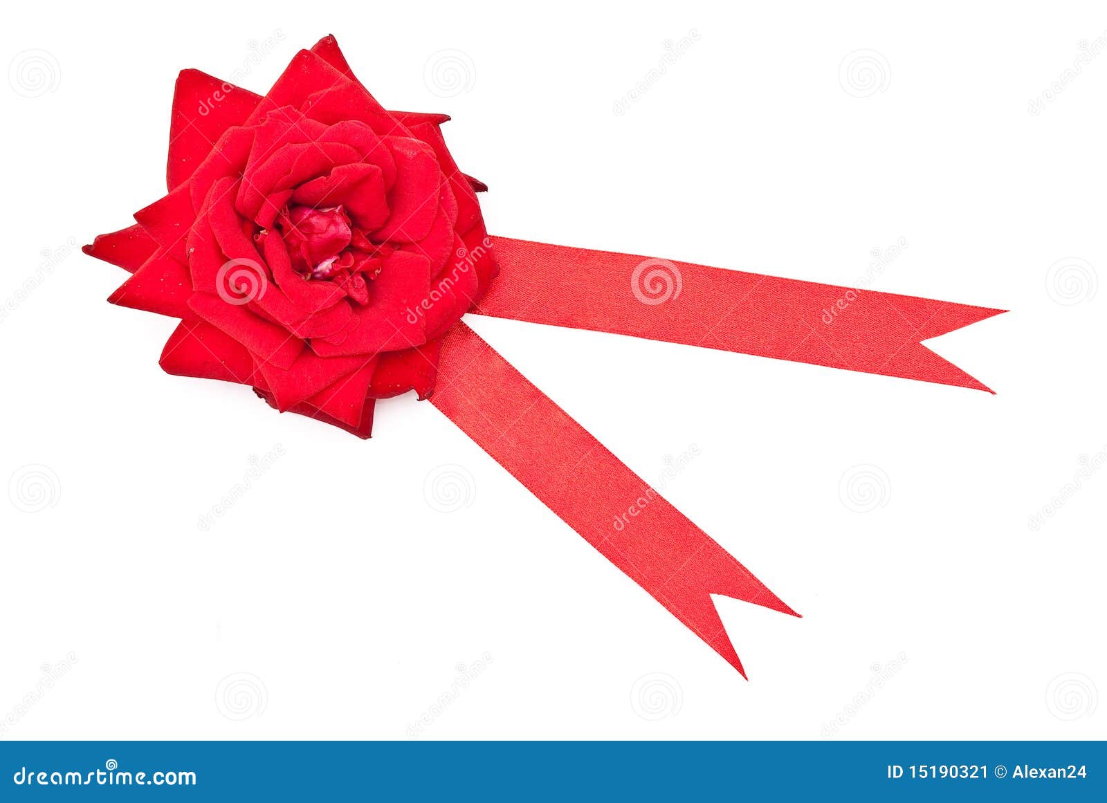 Red rose with red ribbon stock image. Image of valentine - 15190321