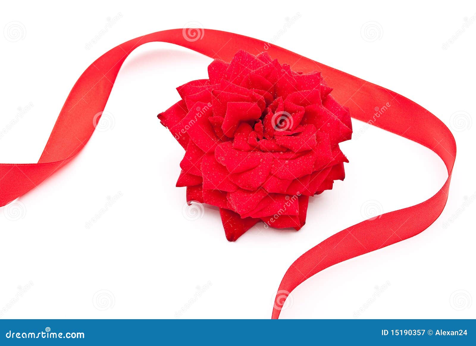 Red rose with red ribbon stock image. Image of corner - 15190357