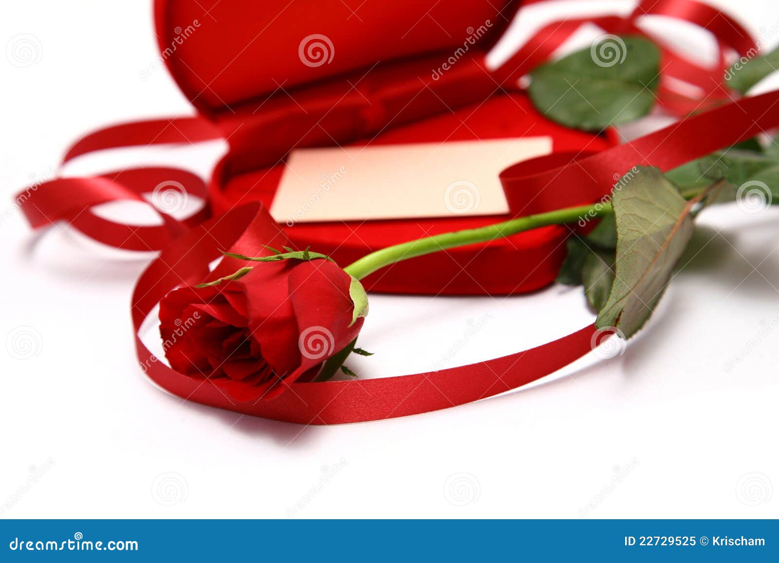 Red rose and ribbon stock image. Image of stem, long - 22729525
