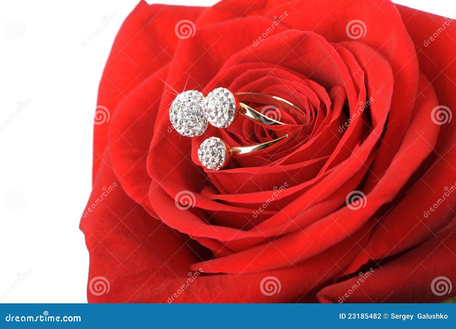 Red Rose with a Ring with Jewels Stock Photo - Image of marry, bloom ...