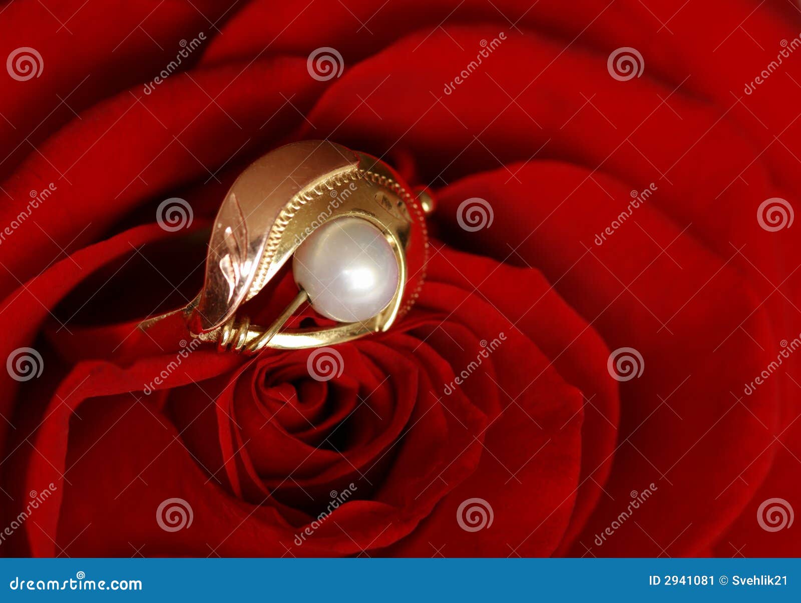 Red Rose and Ring with Pearl Stock Image - Image of lifestyle ...