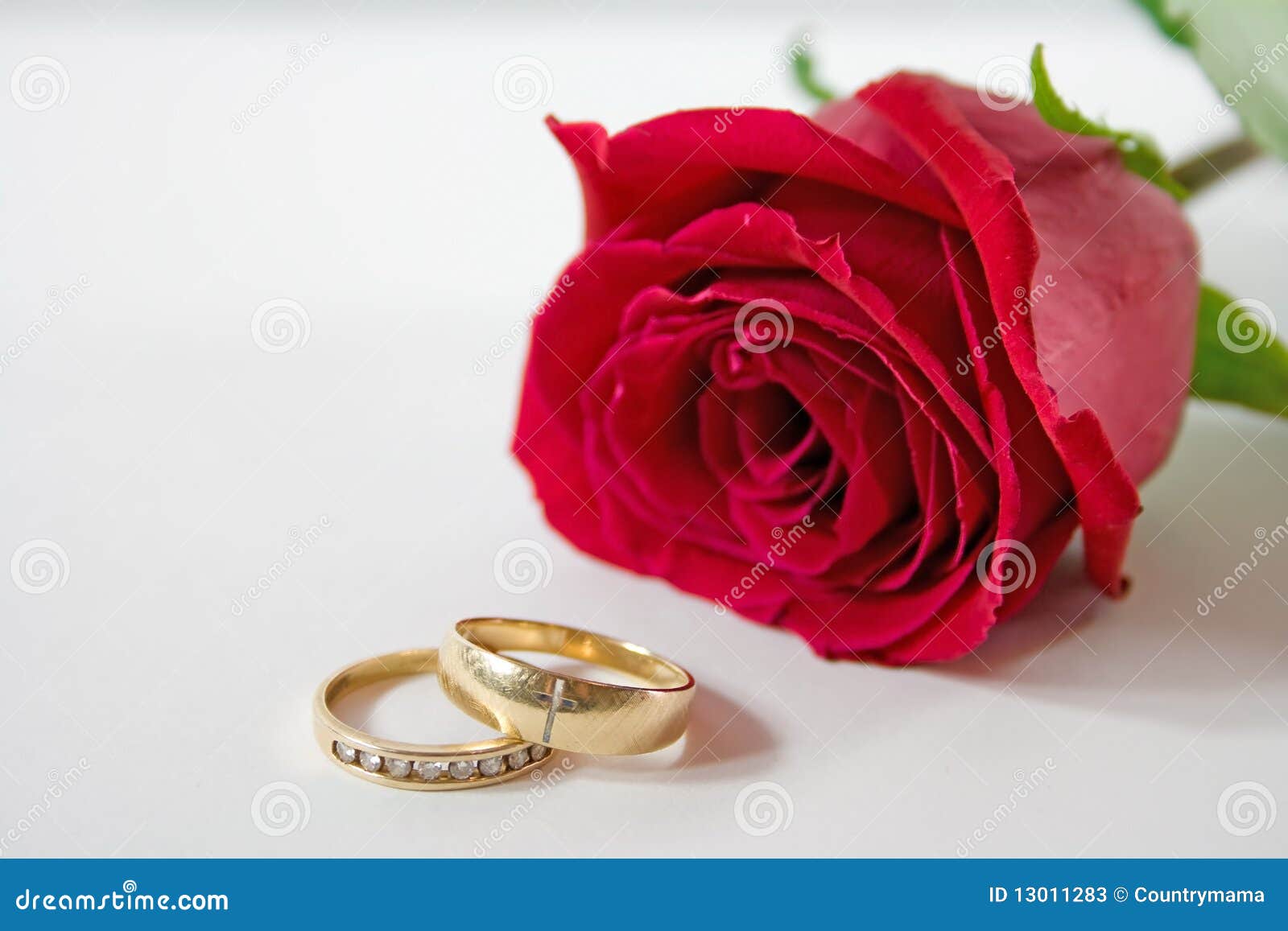 Red rose and rings. stock image. Image of symbol, diamonds - 13011283