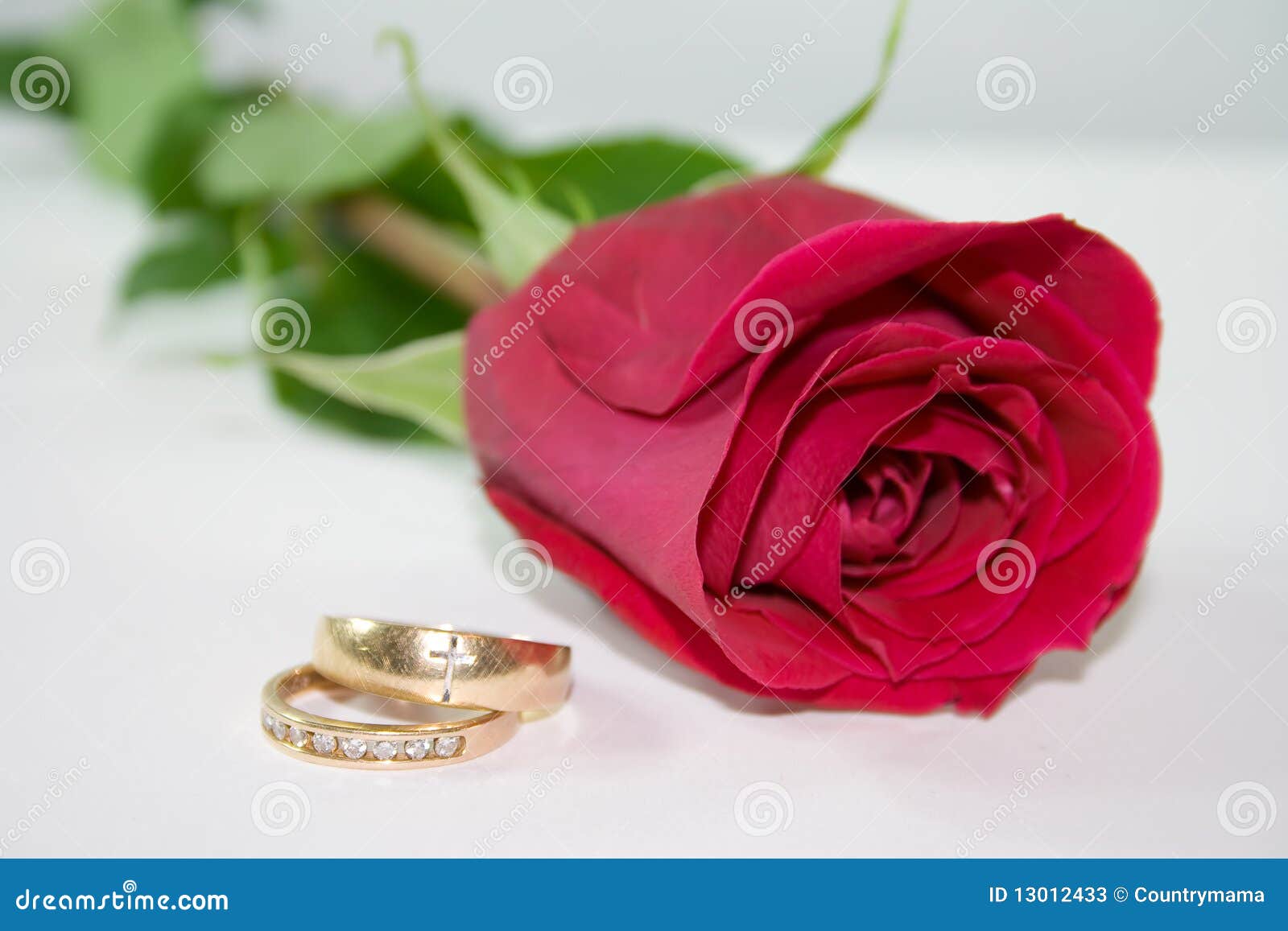 Red rose and rings. stock image. Image of sacred, loving - 13012433