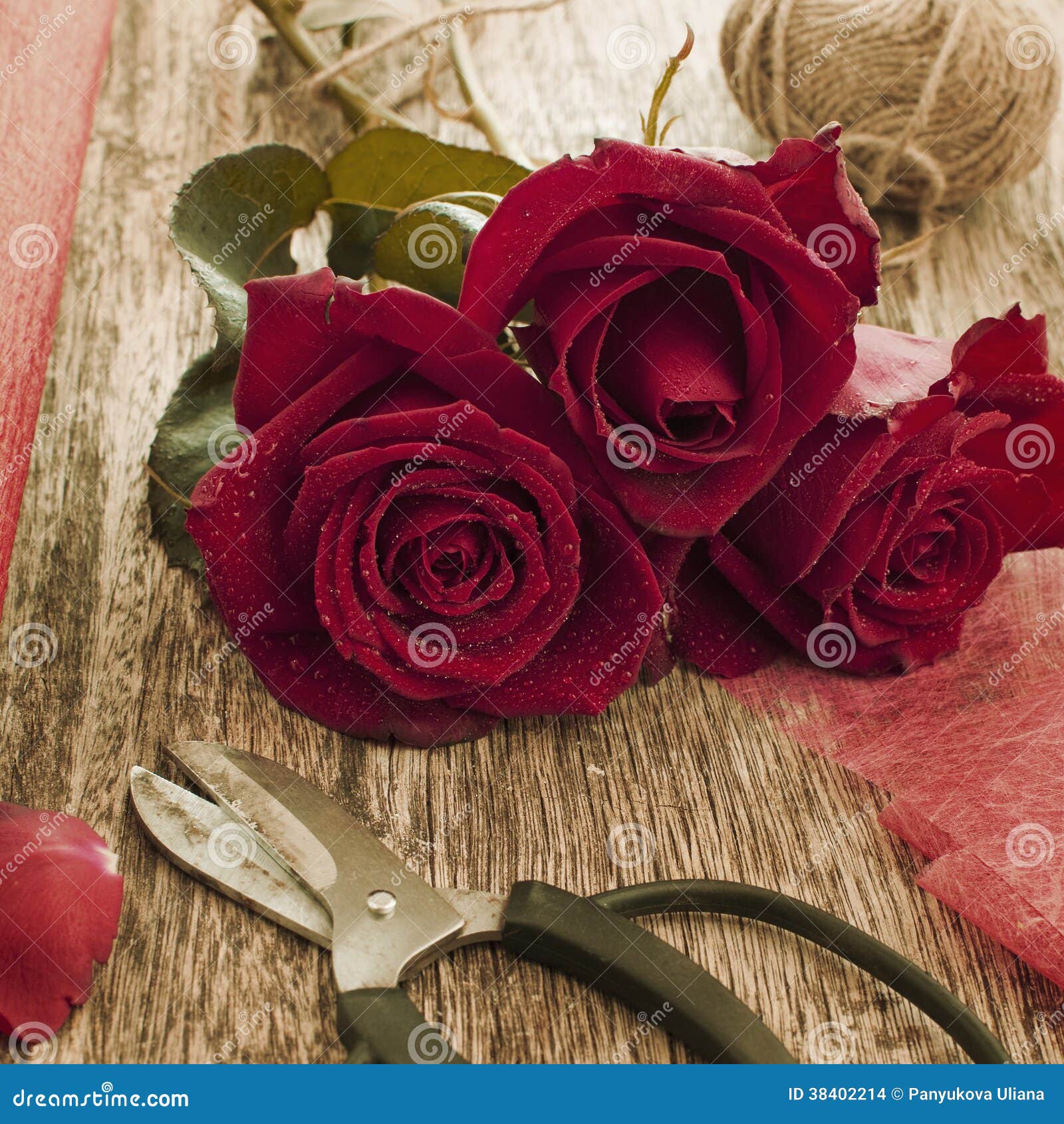 Red Rose and Scissors, Retro Colors Stock Photo - Image of rope, heart ...