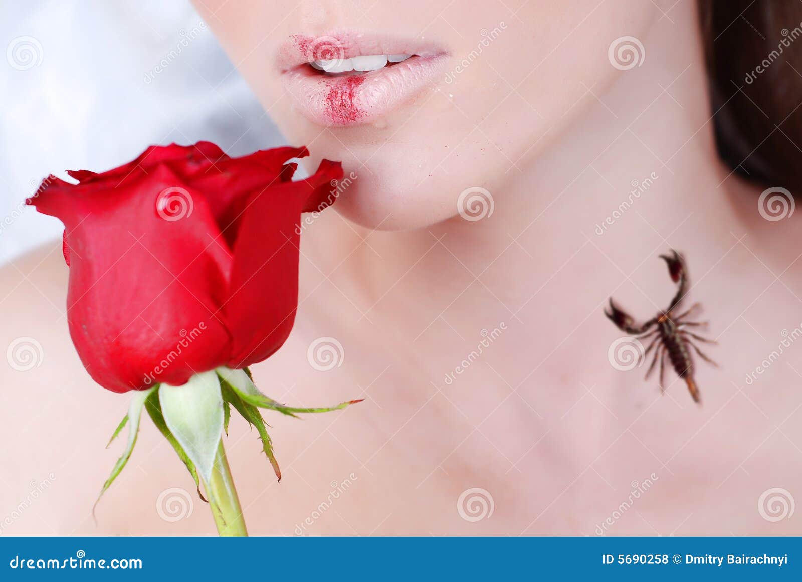 Red rose and scorpio stock photo. Image of rose, caucasian - 5690258