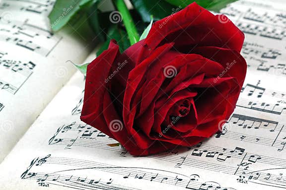 Red rose and sheet music stock photo. Image of black, passion - 5506796