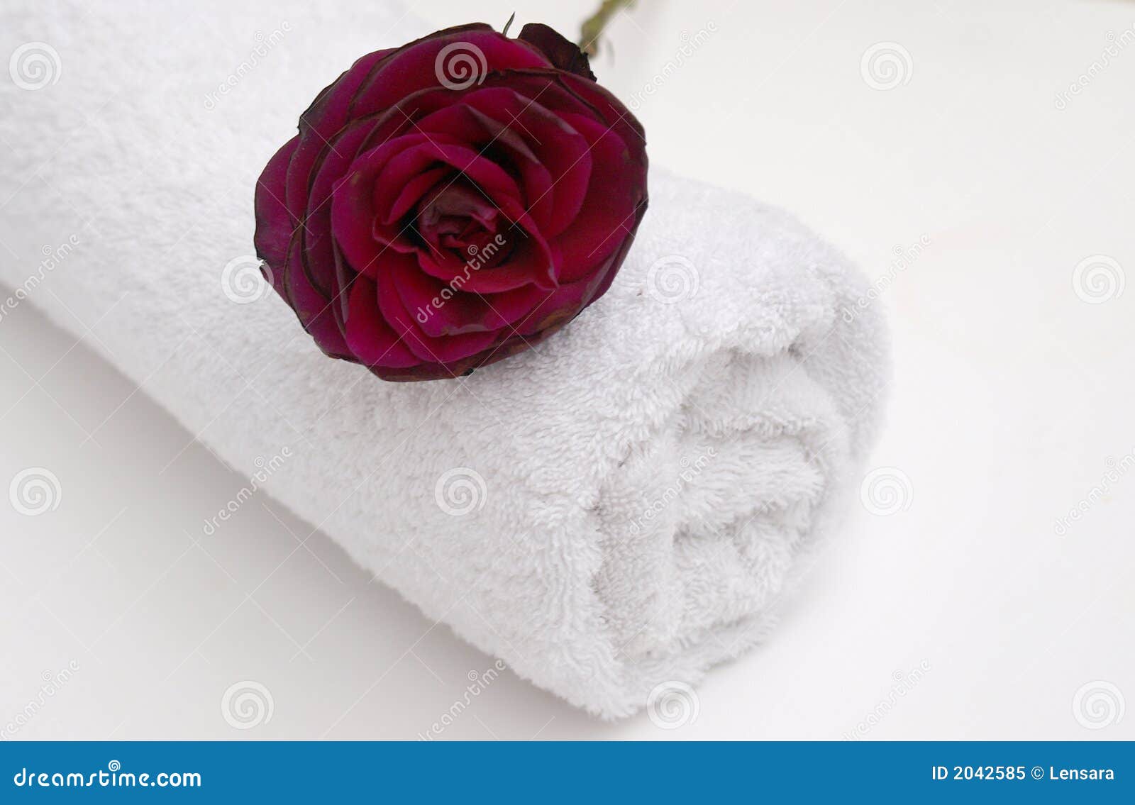 Red Rose Spa stock afbeelding. Image of welzijn, verwennen - 2042585