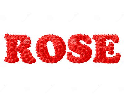The Red Rose text stock image. Image of full, freshness - 26083445