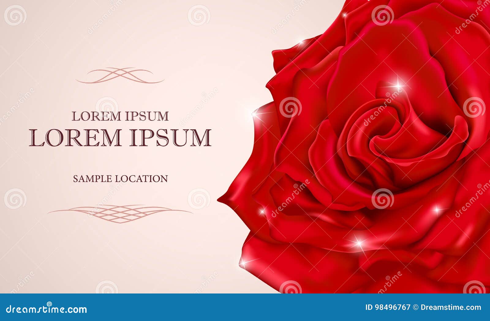 Red Rose with Text on a Card or Invitation. Vector Illustration Stock ...