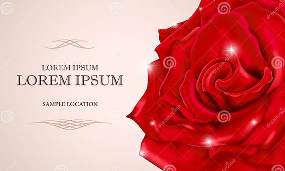 Red Rose with Text on a Card or Invitation. Vector Illustration Stock ...