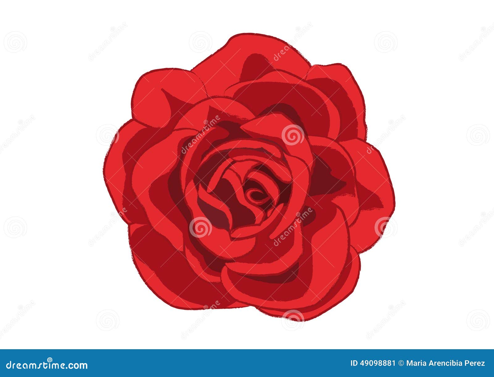 RED ROSE stock vector. Illustration of beautiful, white - 49098881
