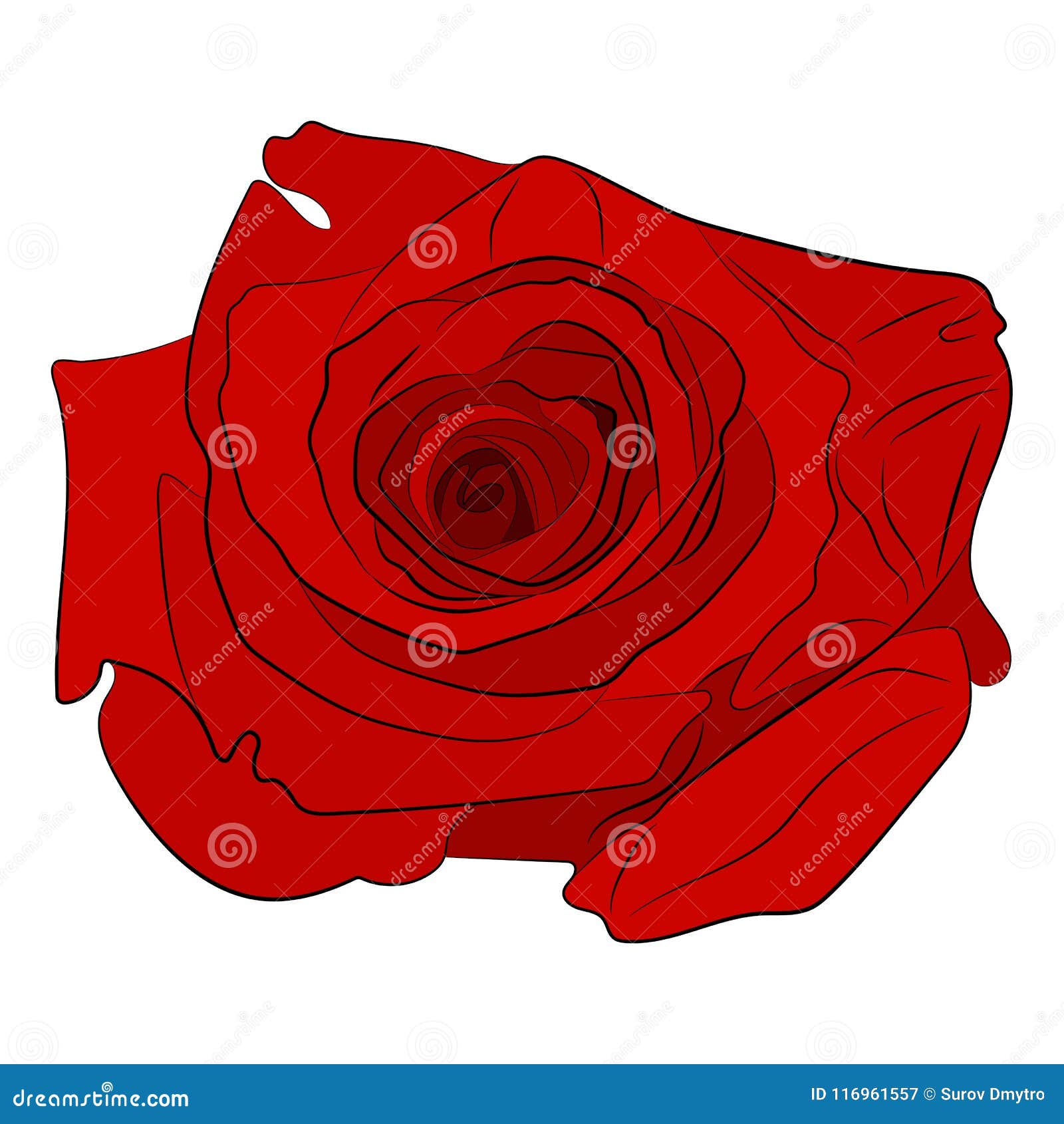Red Rose Vector Drawing Illustration Stock Illustration - Illustration ...