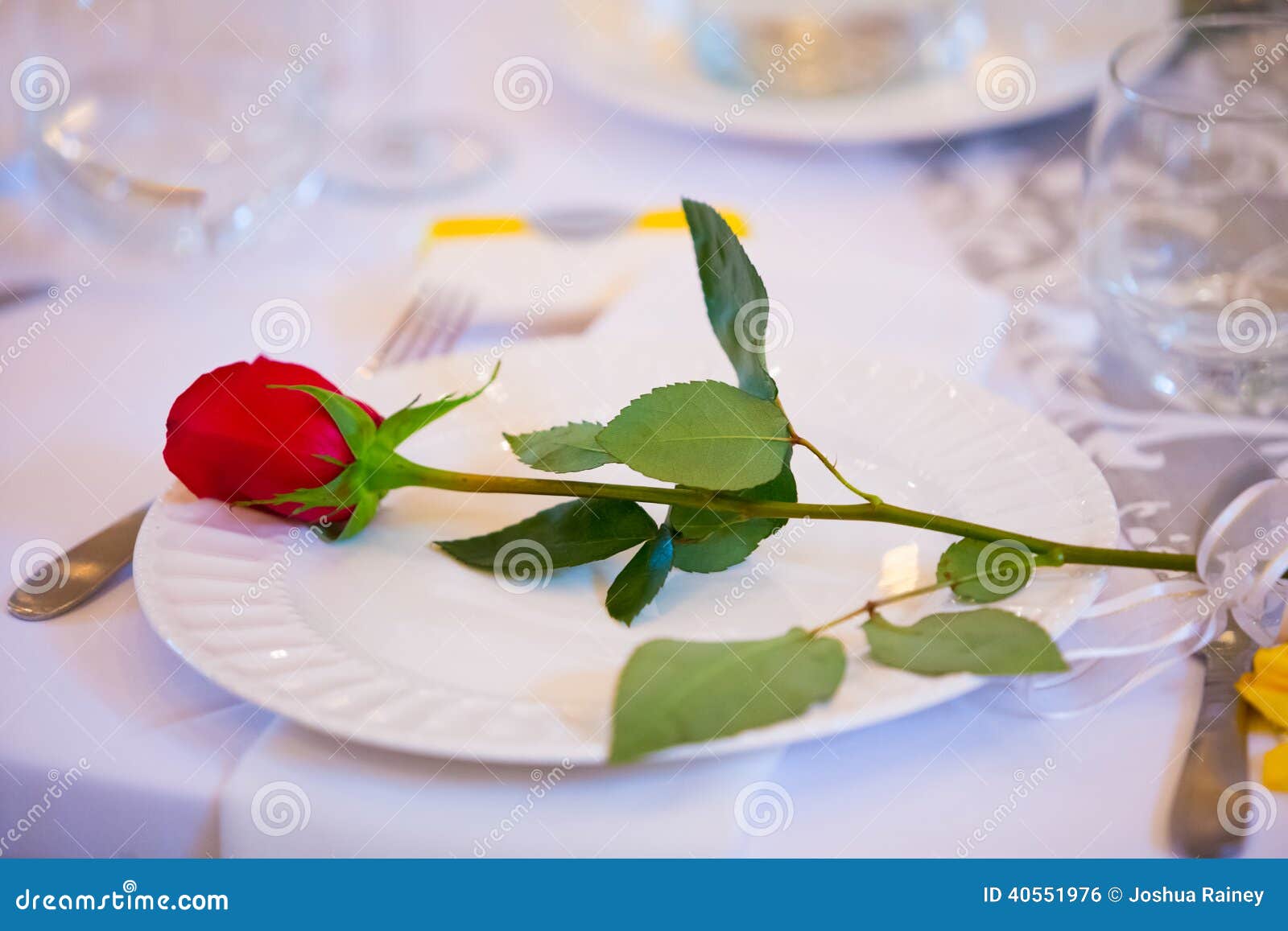 Red Rose on Wedding Dinner Plate Stock Photo - Image of color ...