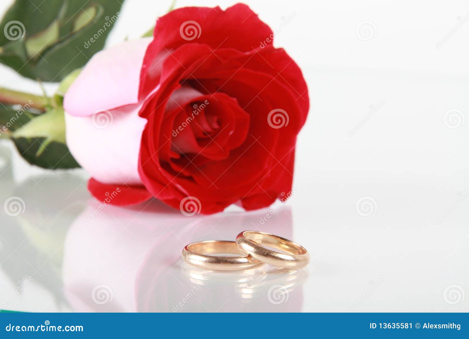 Red rose and wedding ring stock image. Image of leaf - 13635581