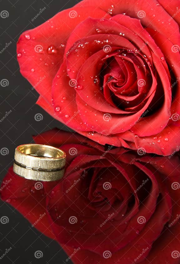 Red Rose and Wedding Ring stock photo. Image of close - 4715892