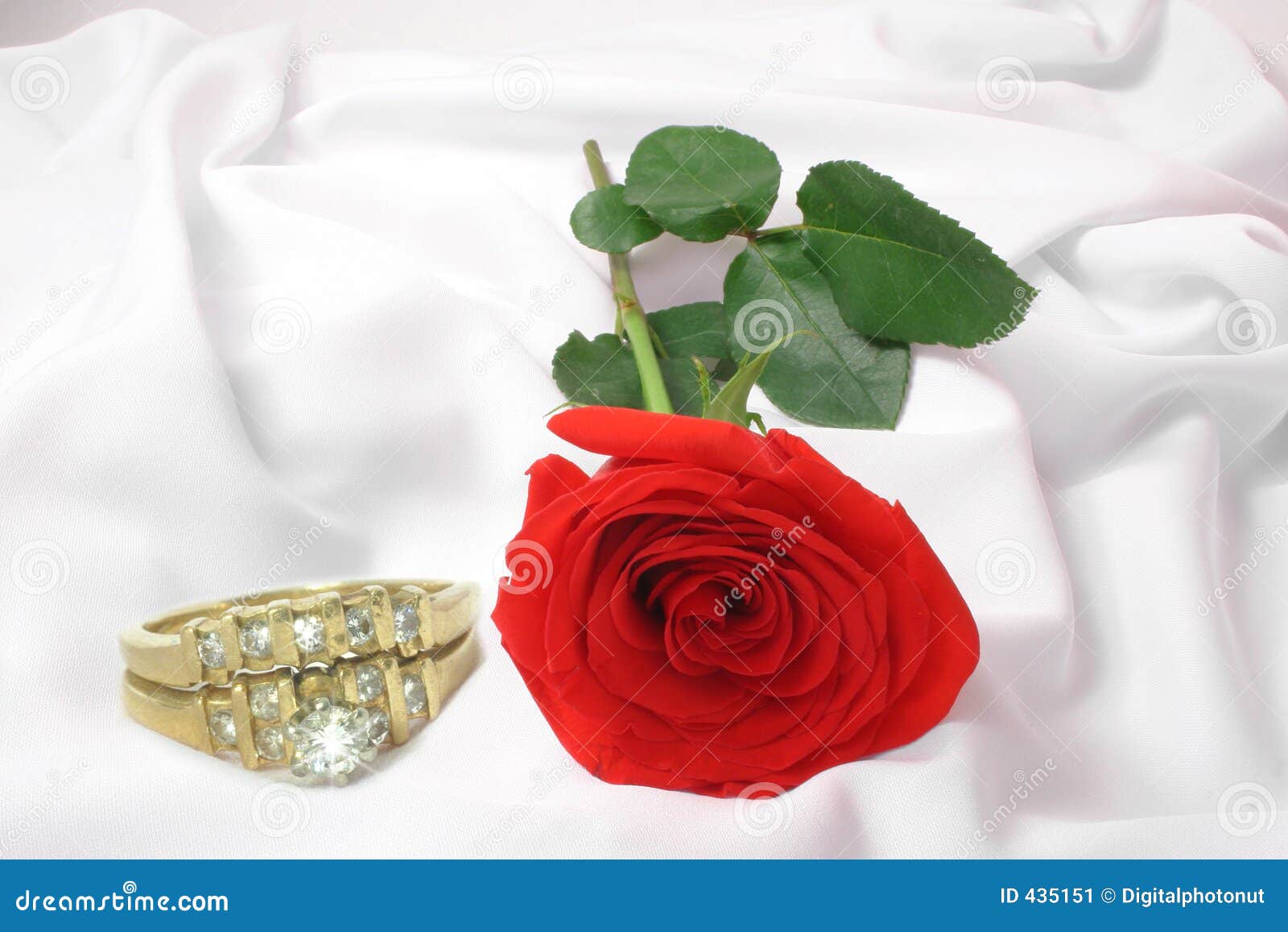 Red Rose and Wedding Rings stock image. Image of rose, silky - 435151