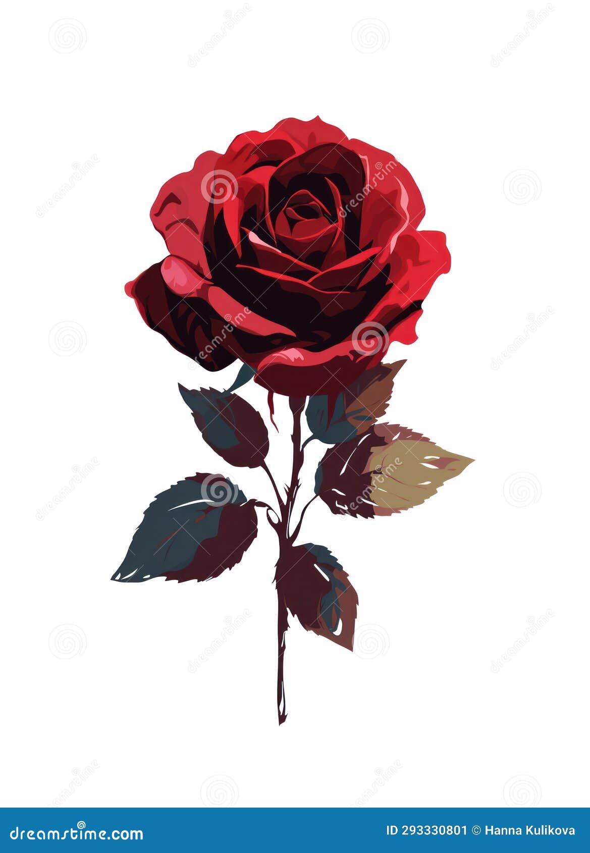 Red Rose on White Background. Stock Illustration - Illustration of ...