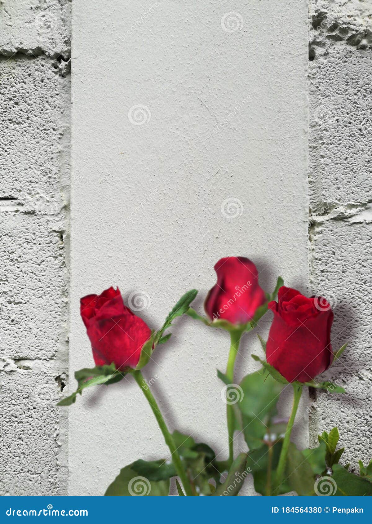 Red Rose on White Brick Block Wall Show Pattern Stack Block Rough ...