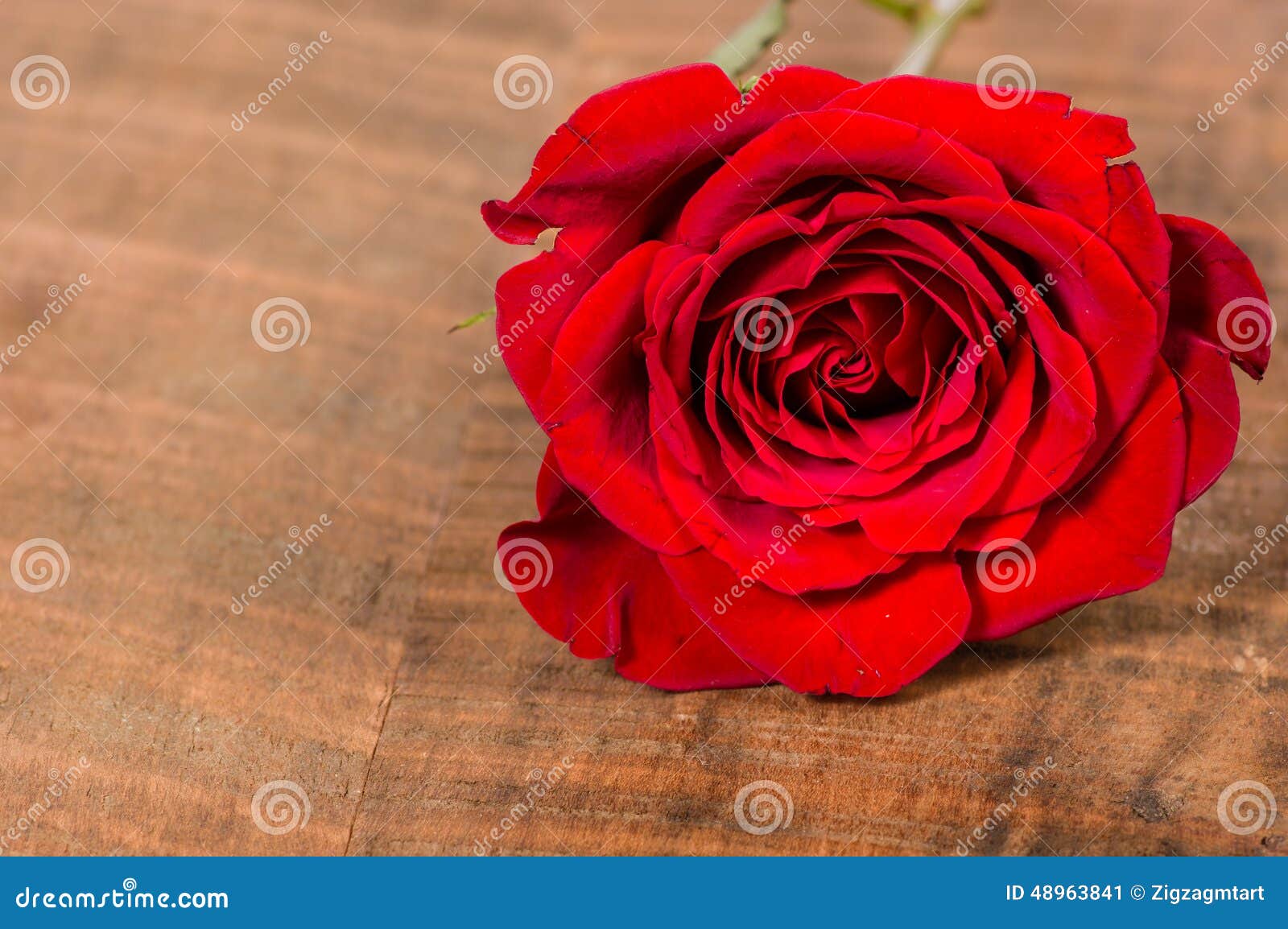 Red rose on a wooden table stock image. Image of blooms - 48963841