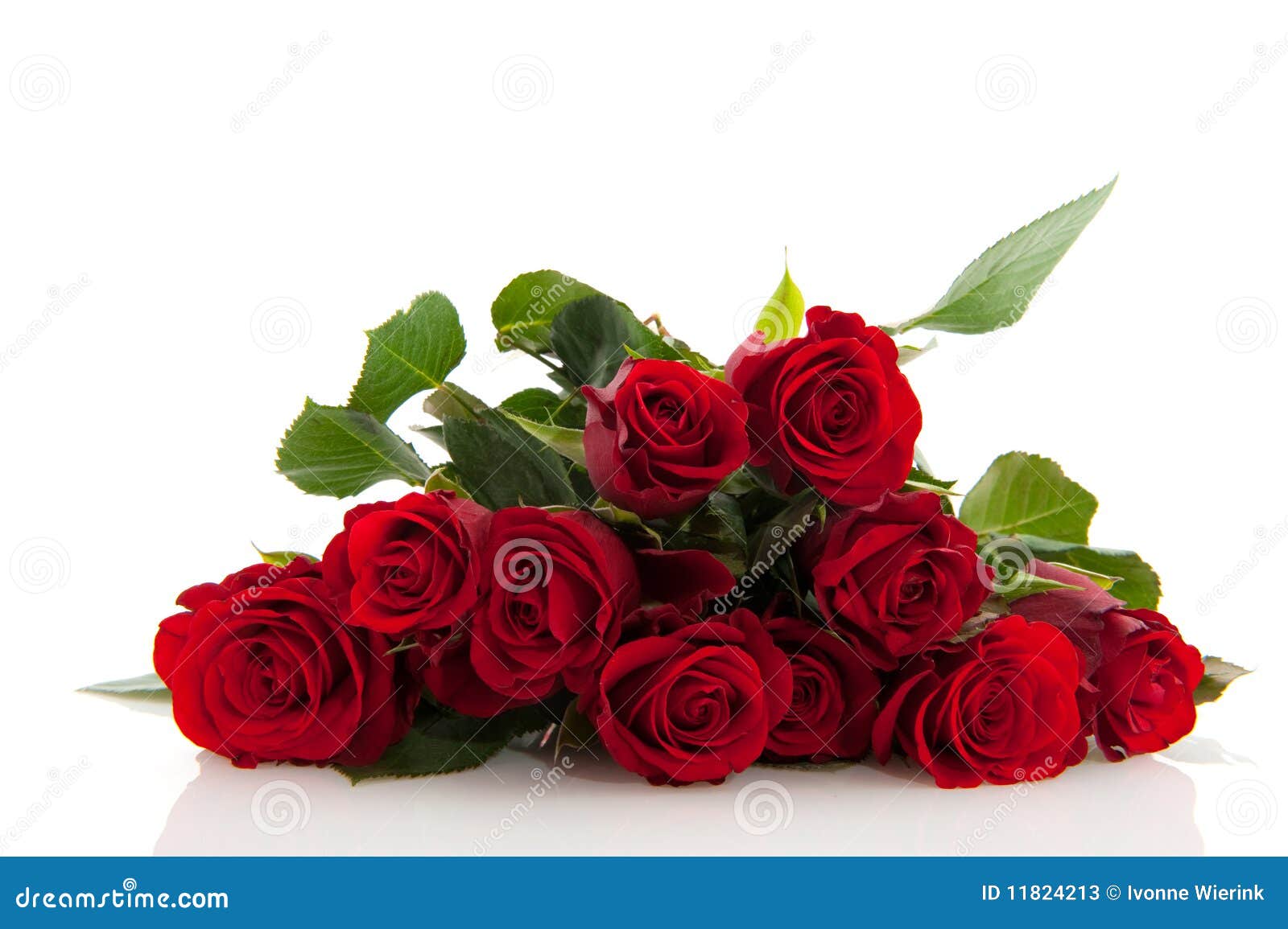 Red roses stock image. Image of love, gift, flowers, arrangement - 11824213