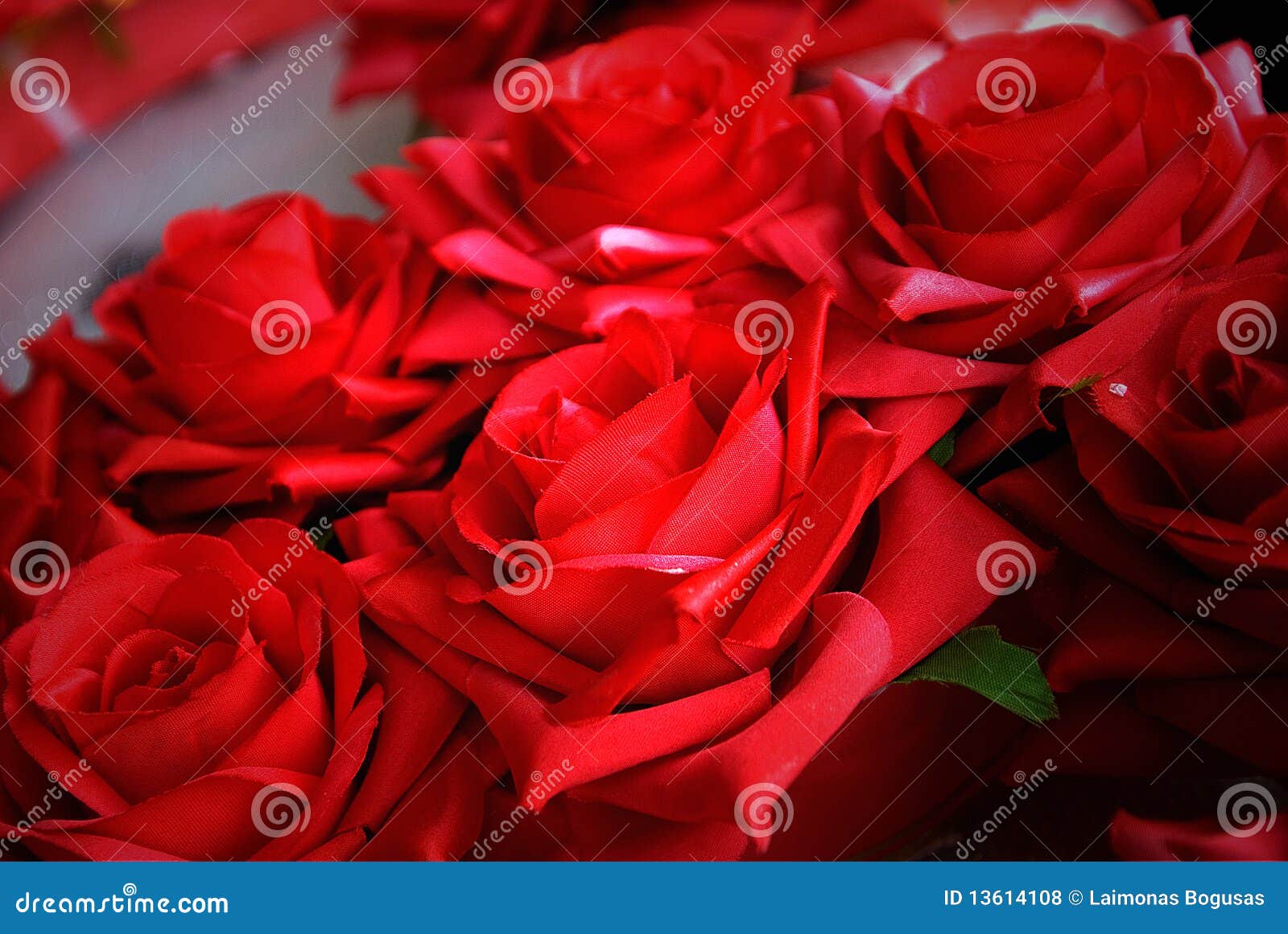 Red roses stock photo. Image of flourish, springtime - 13614108