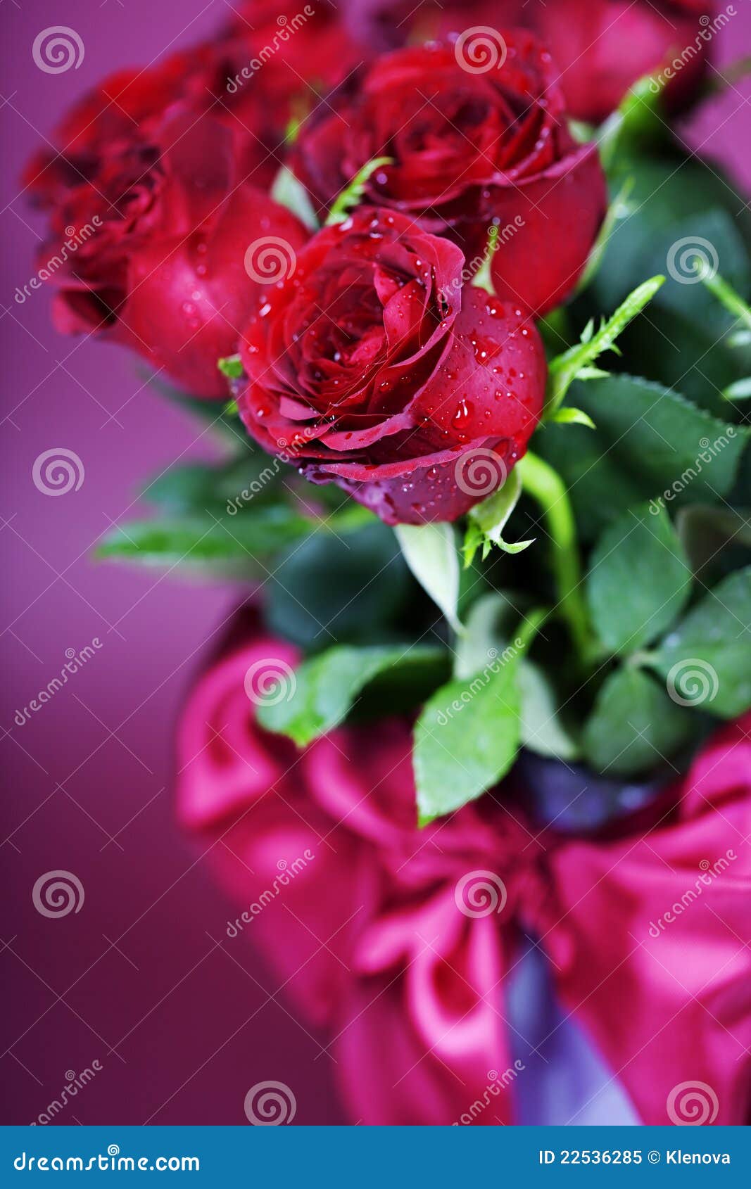 Red roses stock image. Image of decoration, garden, beauty - 22536285