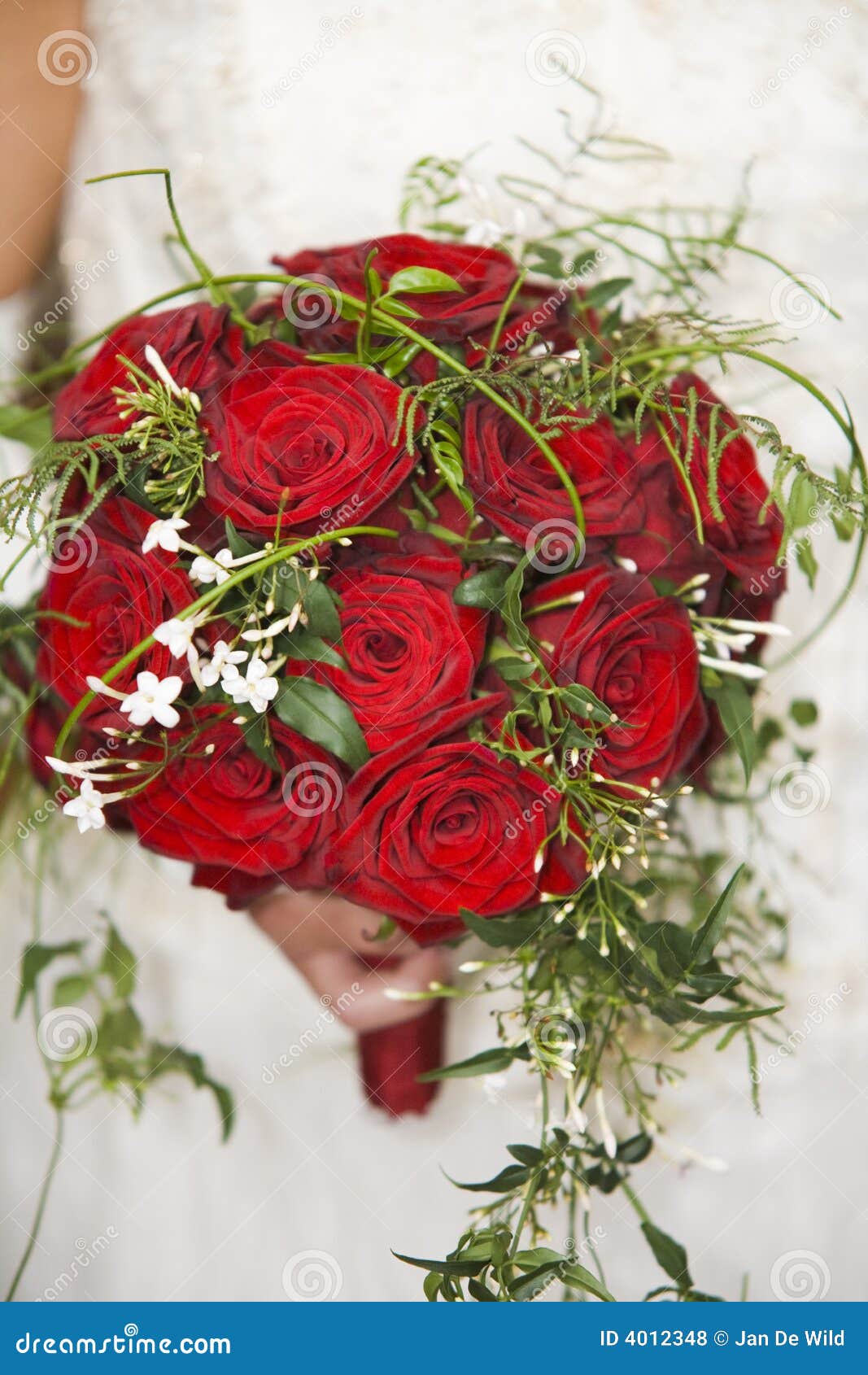 Red roses stock photo. Image of bridal, married, engagement - 4012348