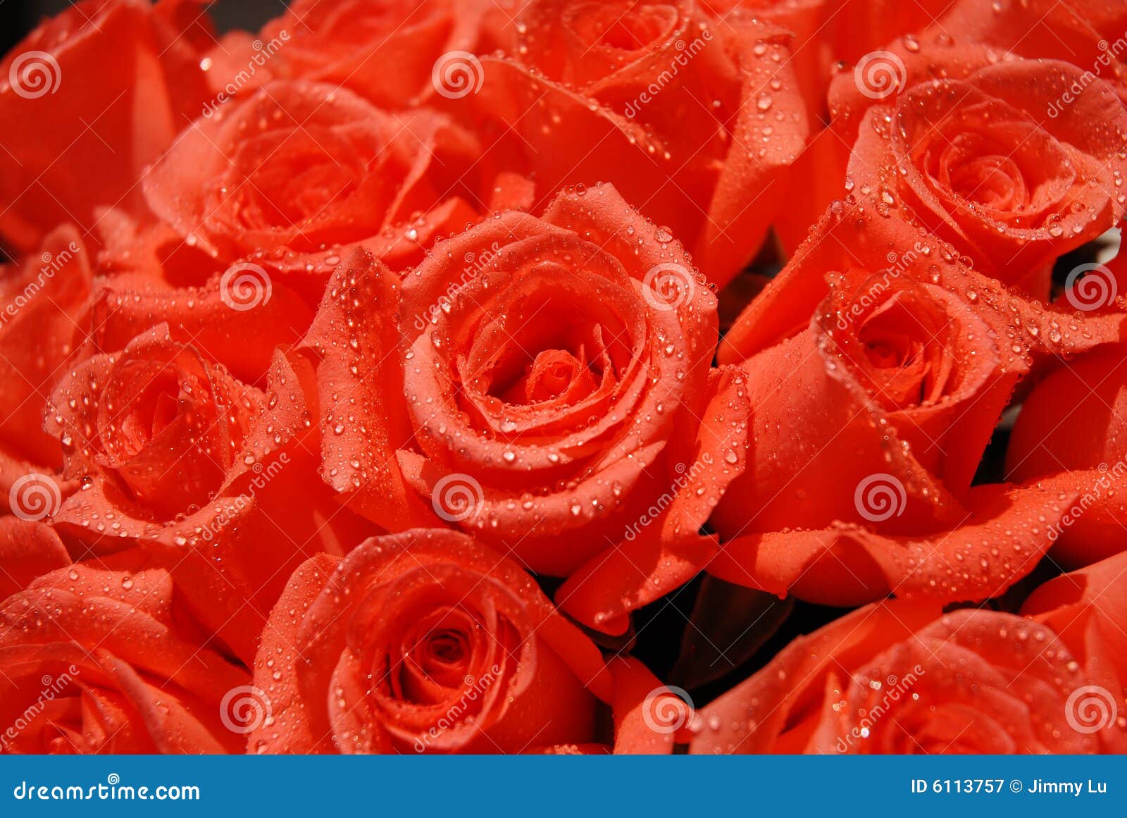 Red roses stock image. Image of romantic, bouquet, petal - 6113757