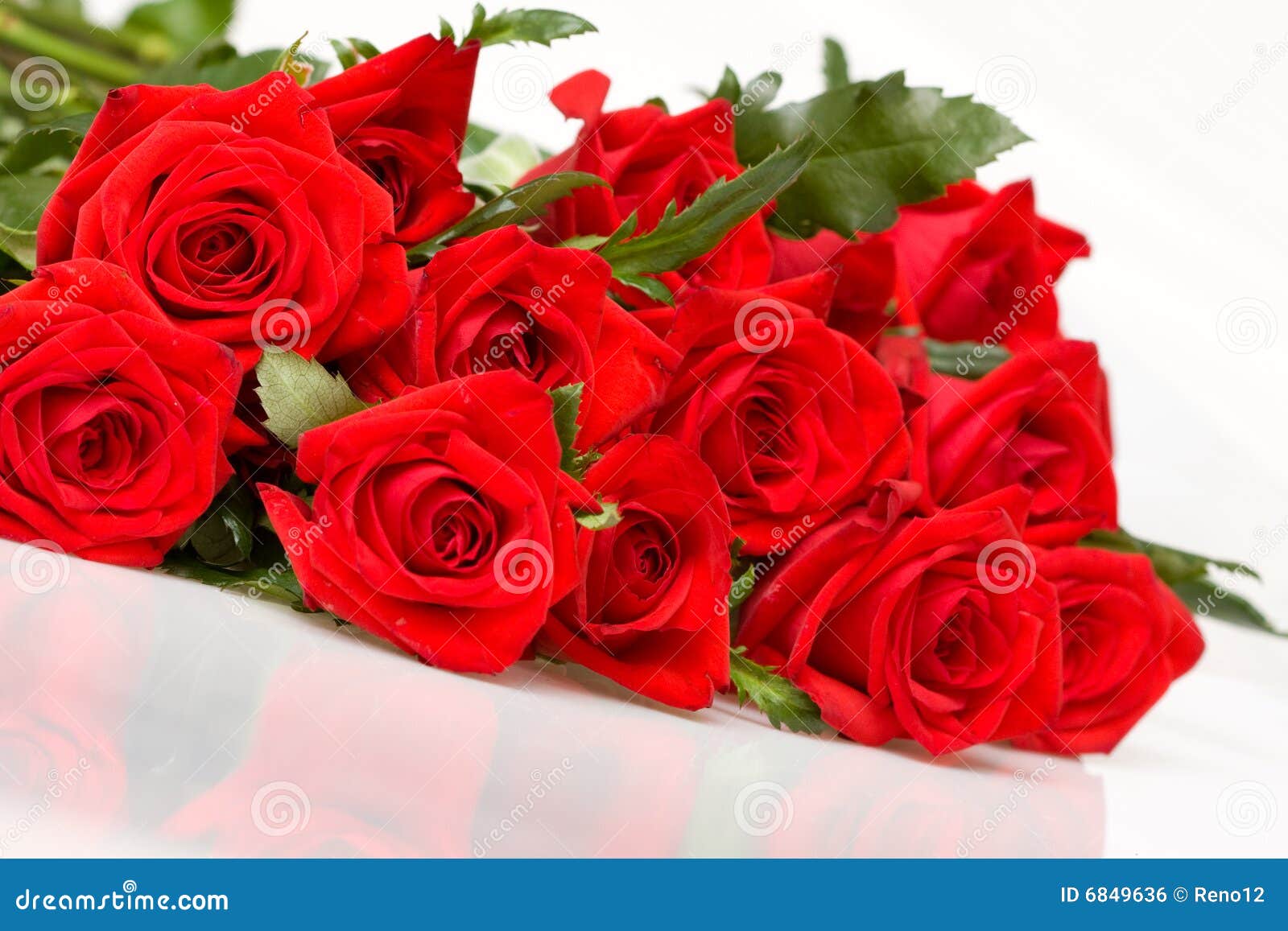 Red roses stock photo. Image of blossom, nature, presents - 6849636