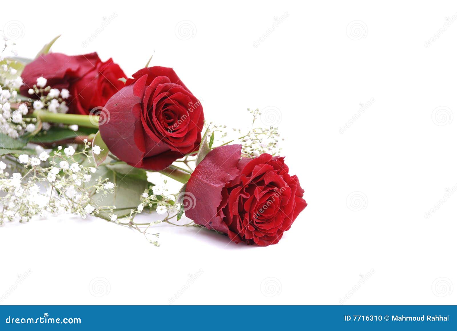 Red Roses stock photo. Image of objects, flowery, blooming - 7716310
