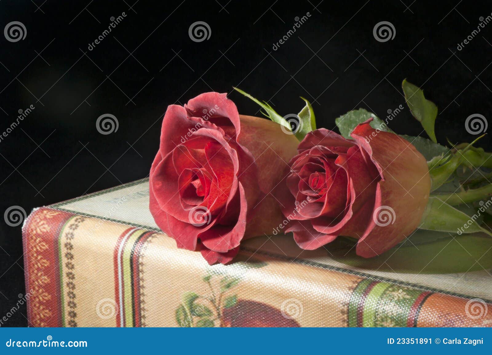Red Roses and Antique Books Stock Image - Image of celebration, mothers ...