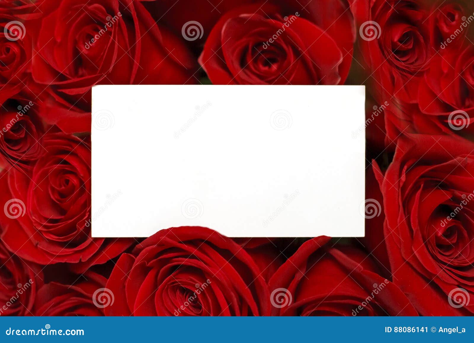 Red Roses Background with Empty Card Stock Image - Image of copy ...