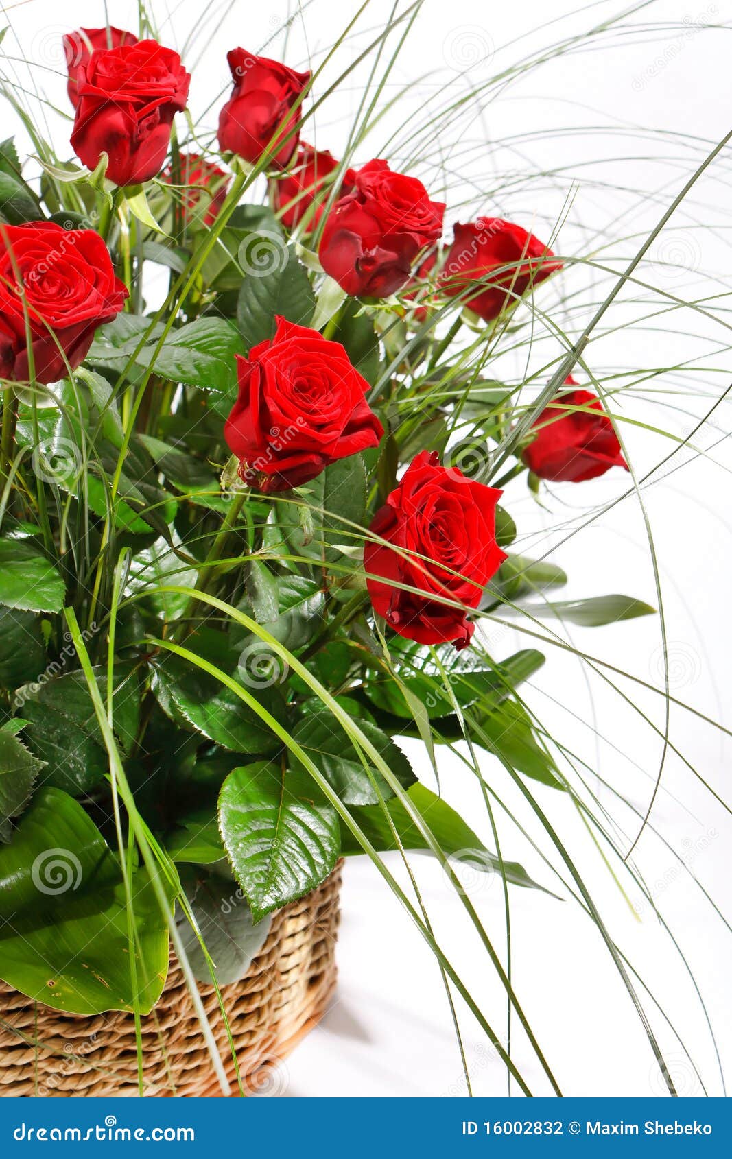 Red Roses in Basket stock photo. Image of anniversary - 16002832